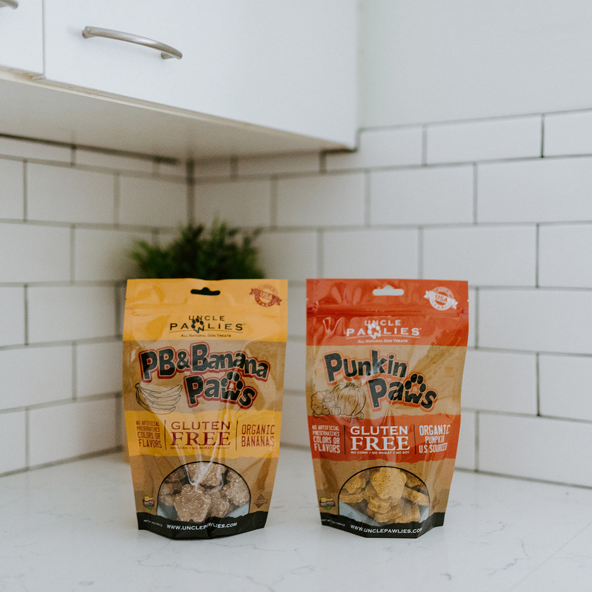 How We Started – Uncle Pawlies